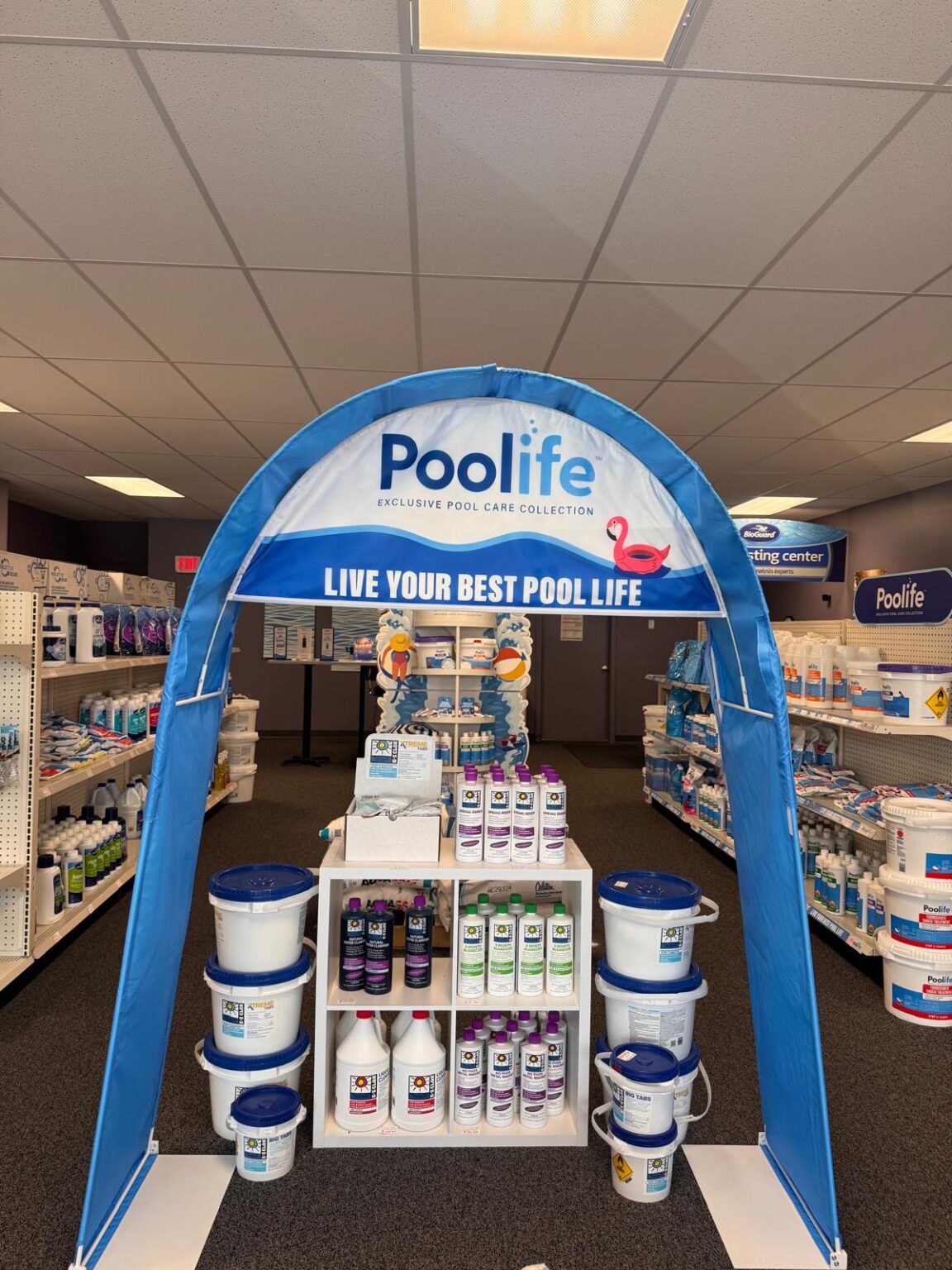 Infused Pools and Spa